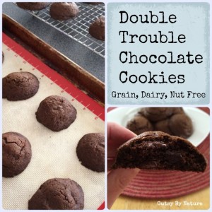 Double Trouble Paleo Chocolate Cookies (Grain Free, Dairy Free, Nut ...